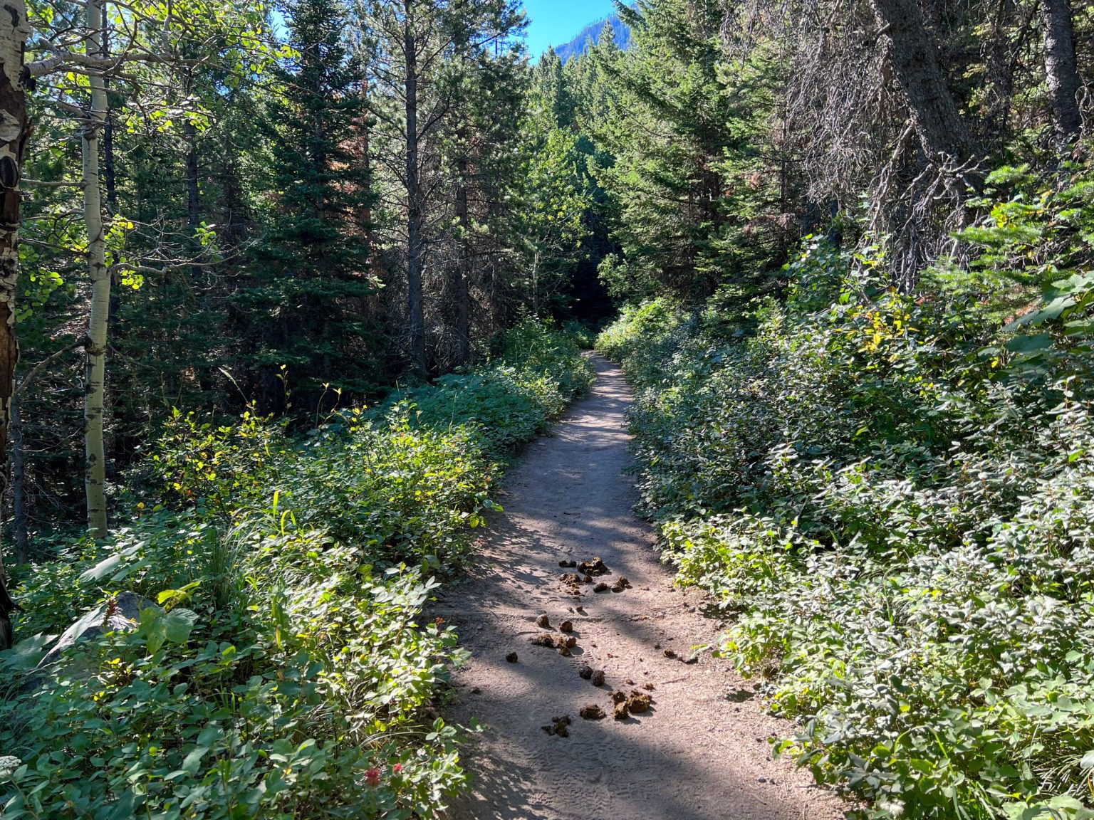 Cracker Lake: Everything You Need to Know Before You Go - Elizabeth ...