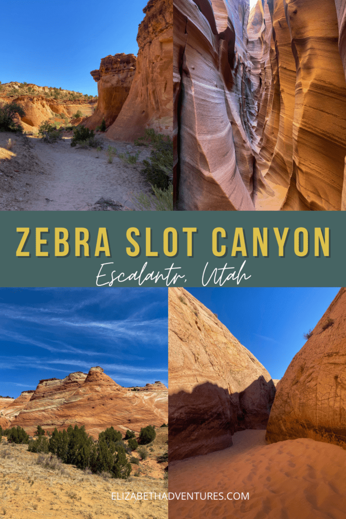 Zebra Slot Canyon: A Beautiful Utah Hidden Gem | Elizabeth Adventures