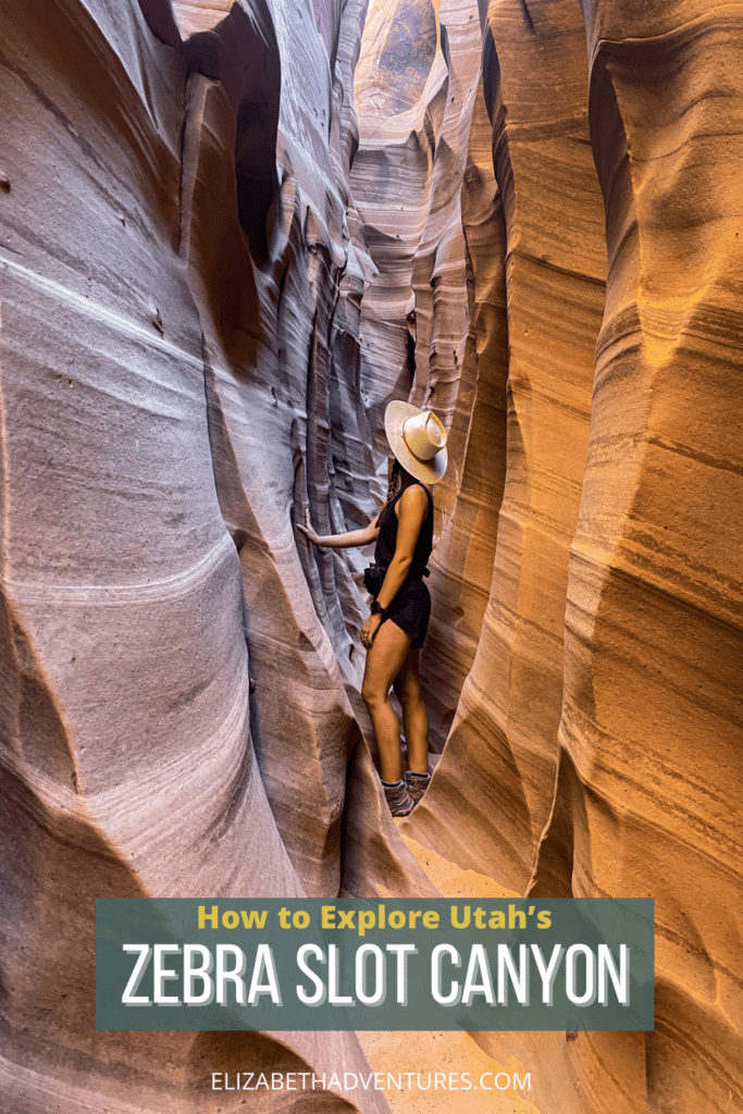 Zebra Slot Canyon: A Beautiful Utah Hidden Gem | Elizabeth Adventures