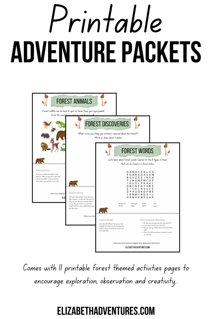 Forest Adventure Packet | Elizabeth Adventures